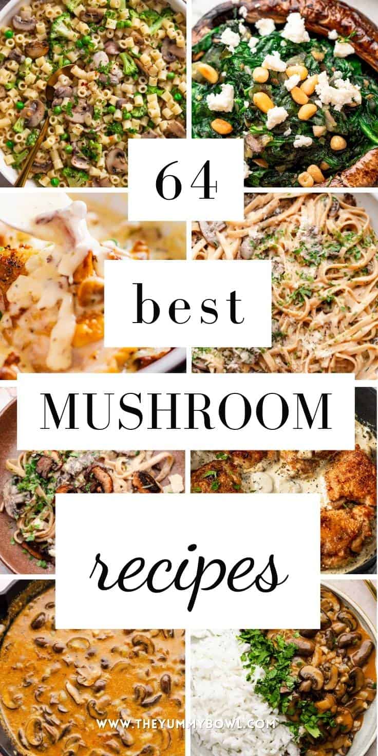 68 Best Mushroom Recipes to Make Again and Again