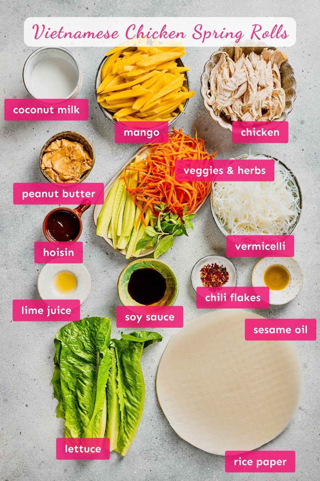 Healthy & Homemade Chicken Spring Rolls with Noodles