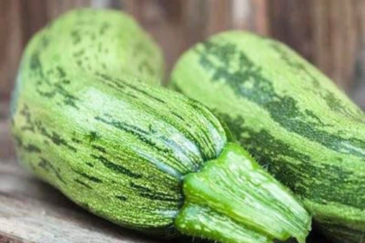 18 Types of Zucchini You Probably Don’t Know About (With Pictures)