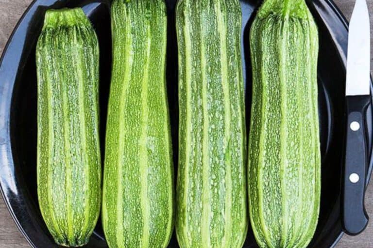 18 Types of Zucchini You Probably Don’t Know About (With Pictures)