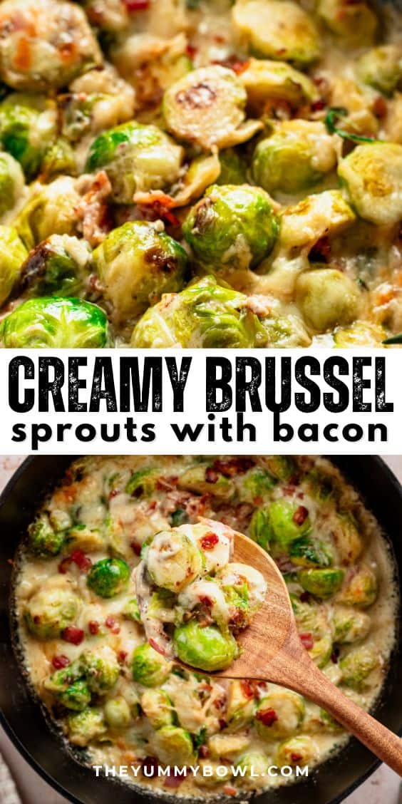 Creamy Brussel Sprouts With Bacon - The Yummy Bowl
