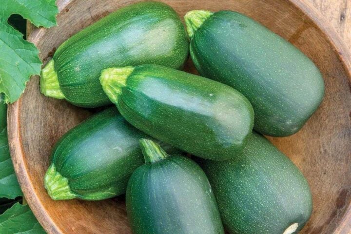 18 Types of Zucchini You Probably Don’t Know About (With Pictures)