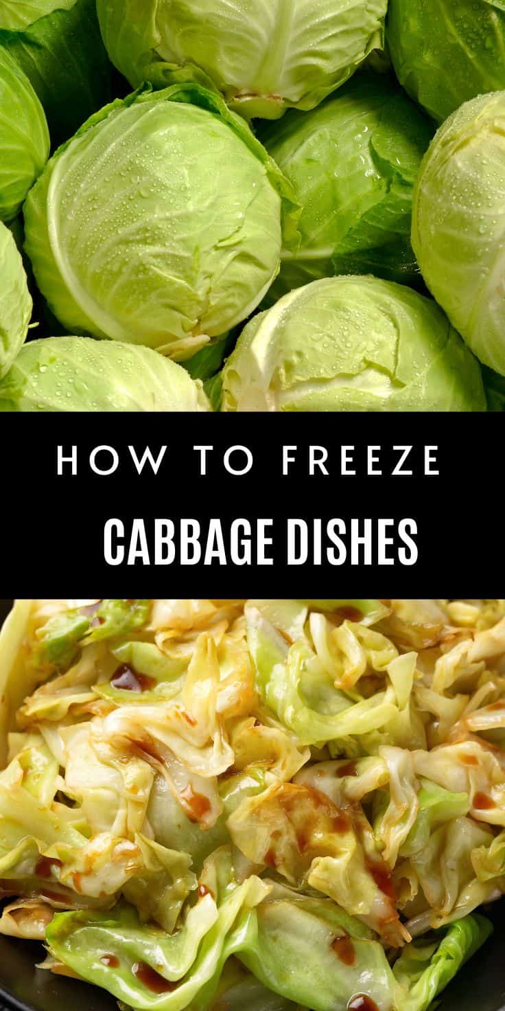 Freezing Cooked Cabbage: 5 Tips You Need to Know