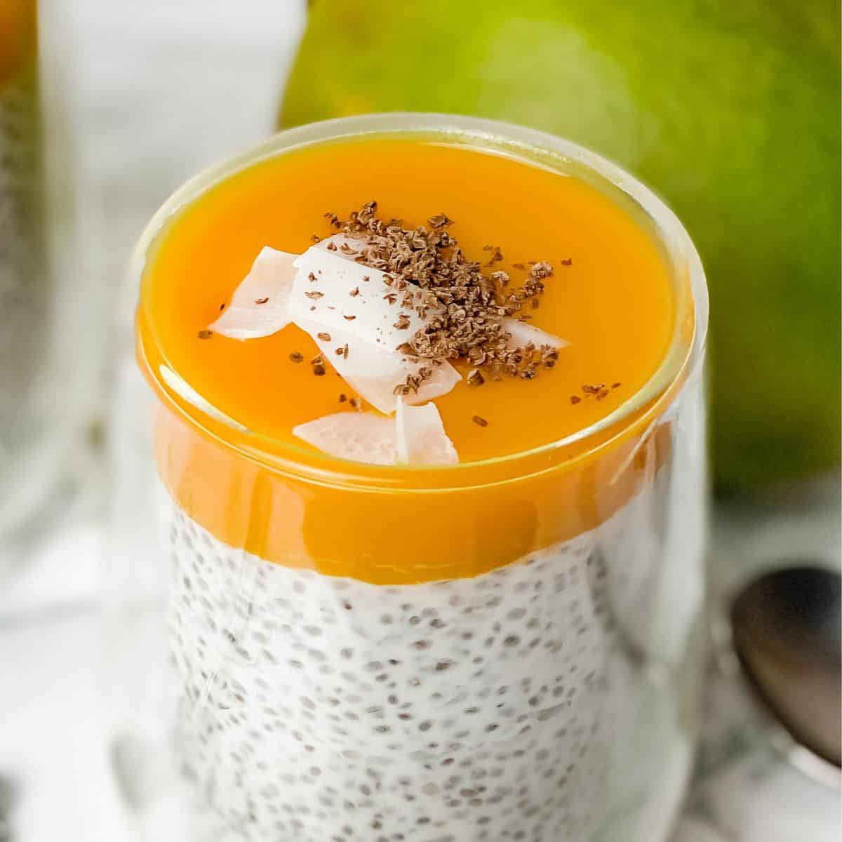 Easy Mango Chia Pudding