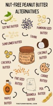 10+ Best Nut Free Alternatives For Peanut Butter Explained! - The Yummy ...