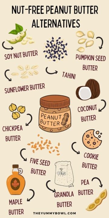 10+ Best Nut Free Alternatives For Peanut Butter Explained! - The Yummy ...