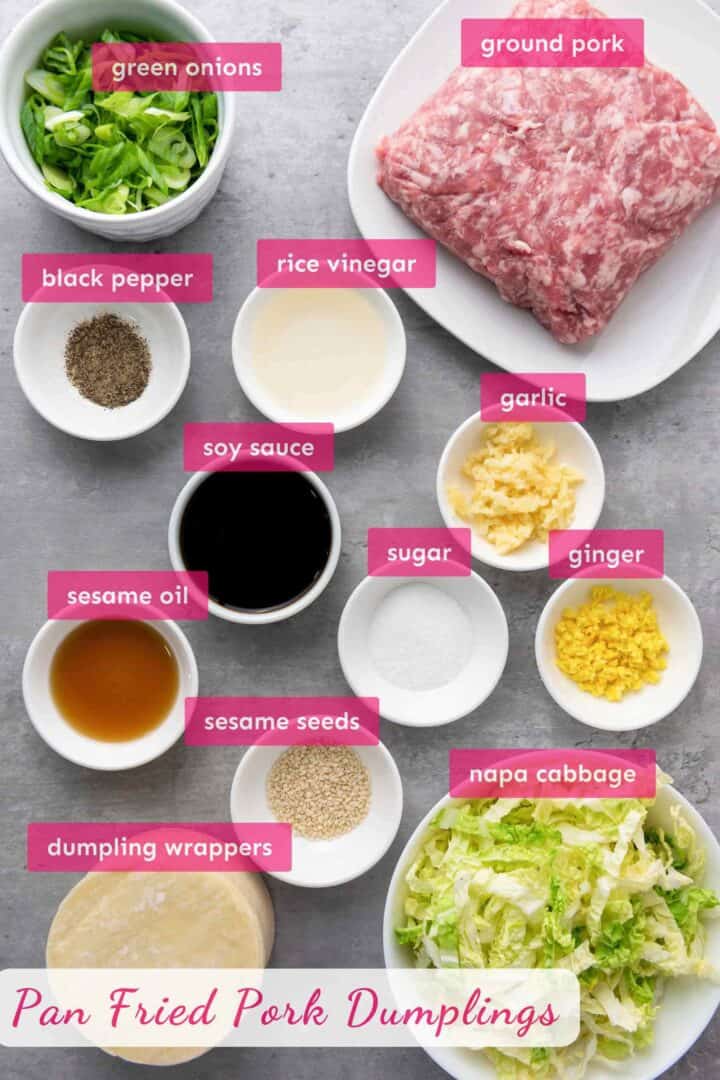 EASY Pan-Fried Pork Dumplings (With Napa Cabbage)