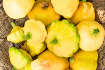 From Zucchini to Butternut: 26 Types of Squash to Try