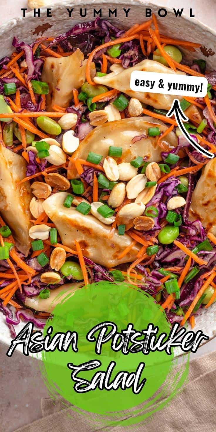 Dumpling Salad with Sesame Ginger Dressing (25-Minutes)
