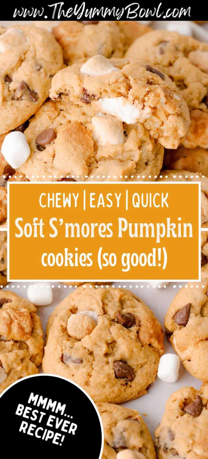 THE BEST Pumpkin Smores Cookies I Make This Fall