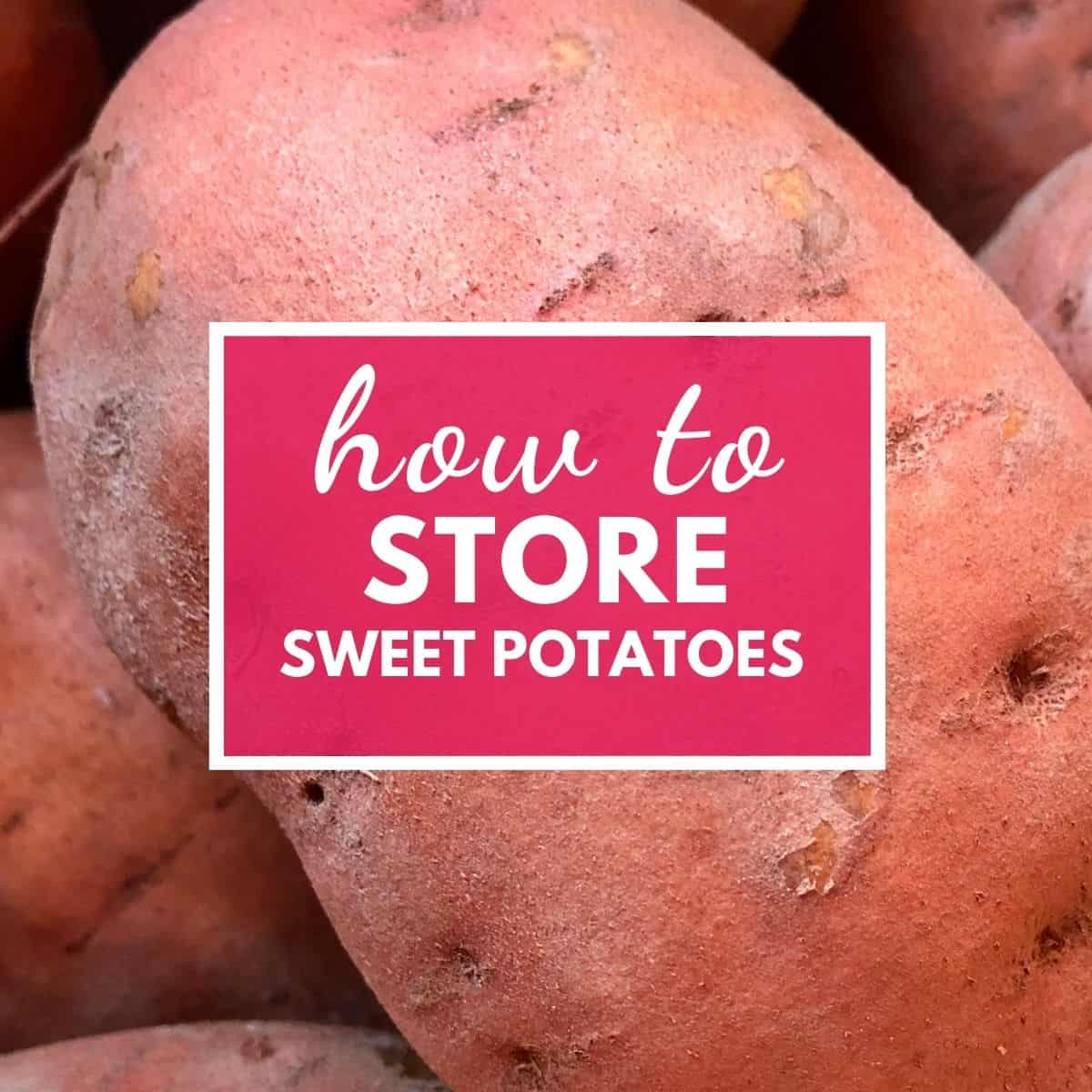 The Best Ways To Store Sweet Potatoes And Keep Them Fresh Longer