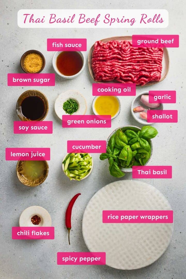 THE BEST Thai Basil Beef Spring Rolls with Tasty Sauce