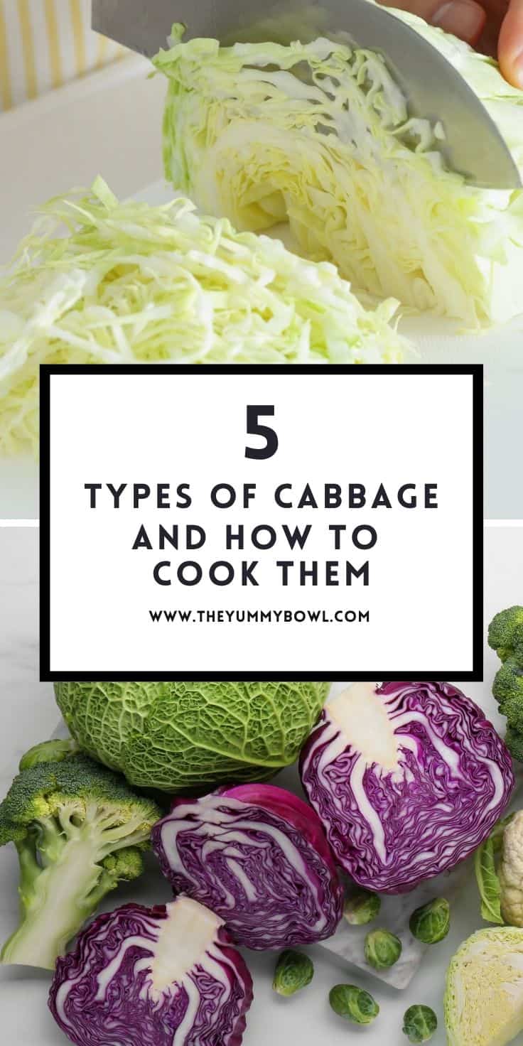 5 Types of Cabbage (And How to Cook Them) - The Yummy Bowl