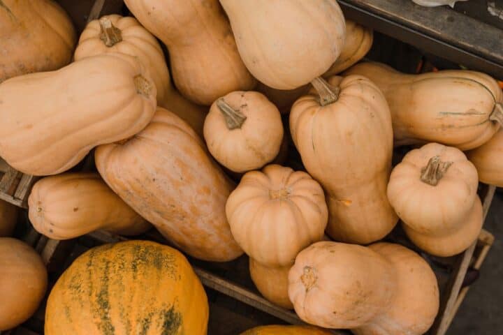 From Zucchini to Butternut: 26 Types of Squash to Try