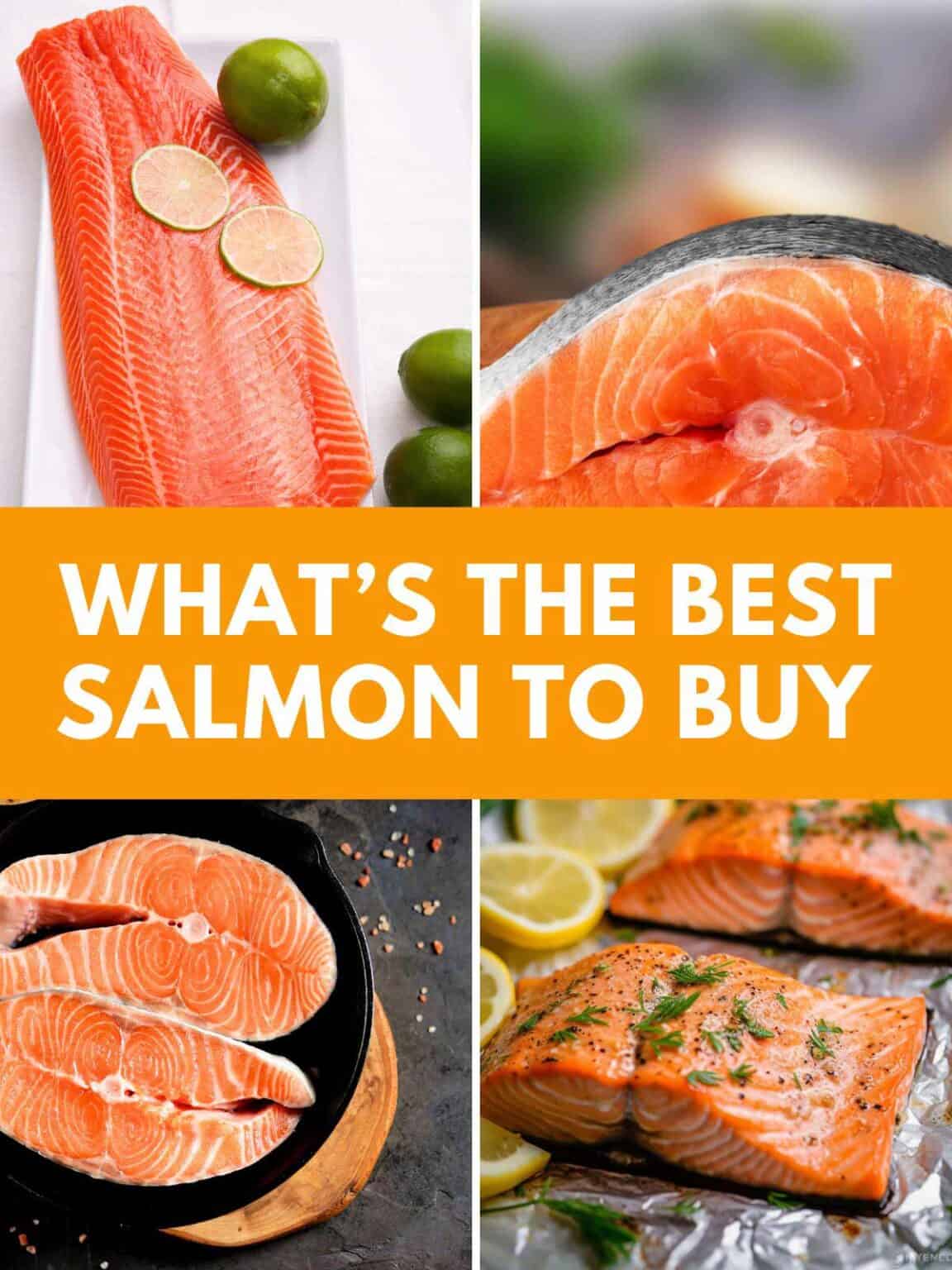What’s The Best Salmon To Buy? And Which One To Avoid!